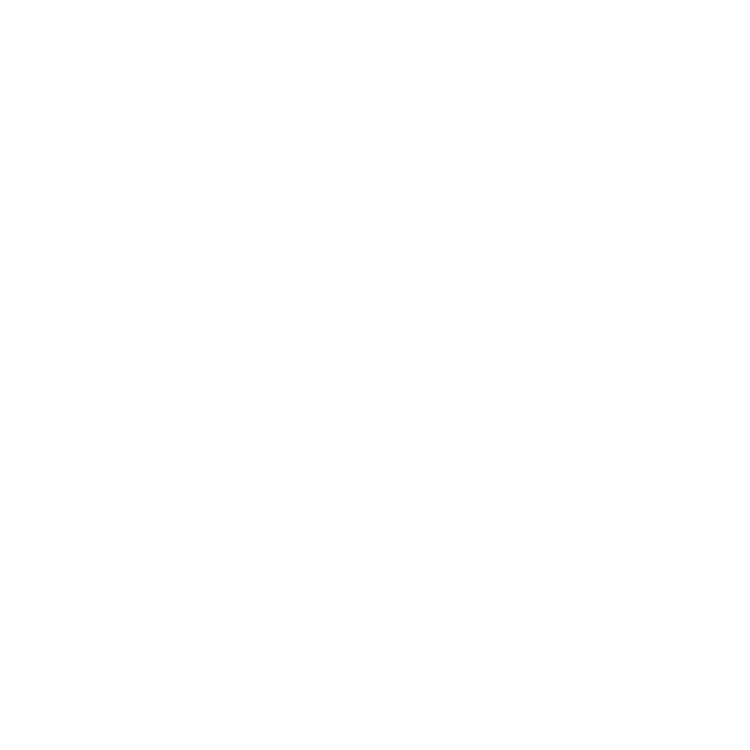 Team TPA | 2026 United Airlines NYC Half Marathon - Campaign