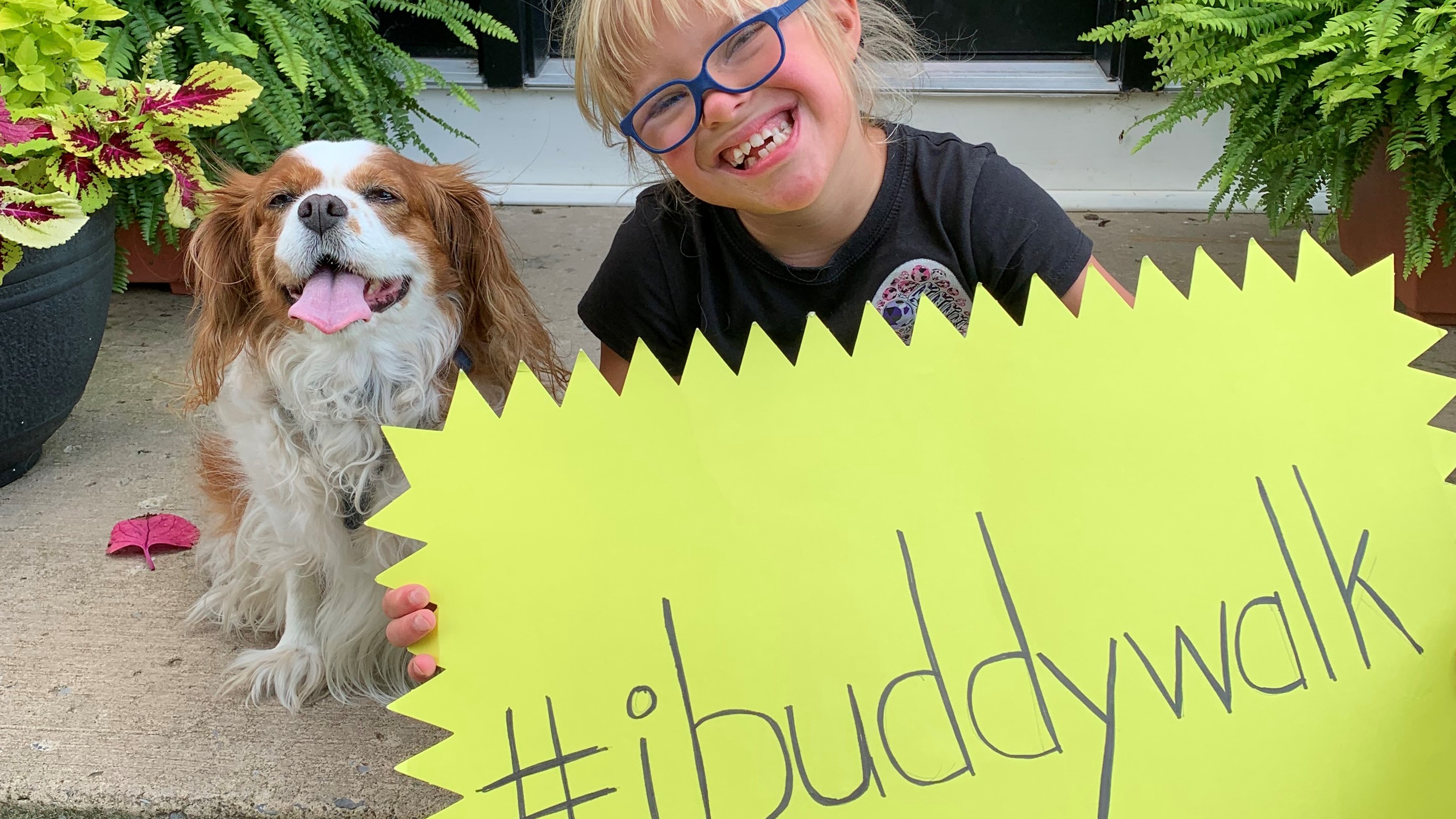 CRDSS Buddy Walk 2023 - Campaign