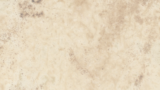 Donate to Alter Ego Carnival