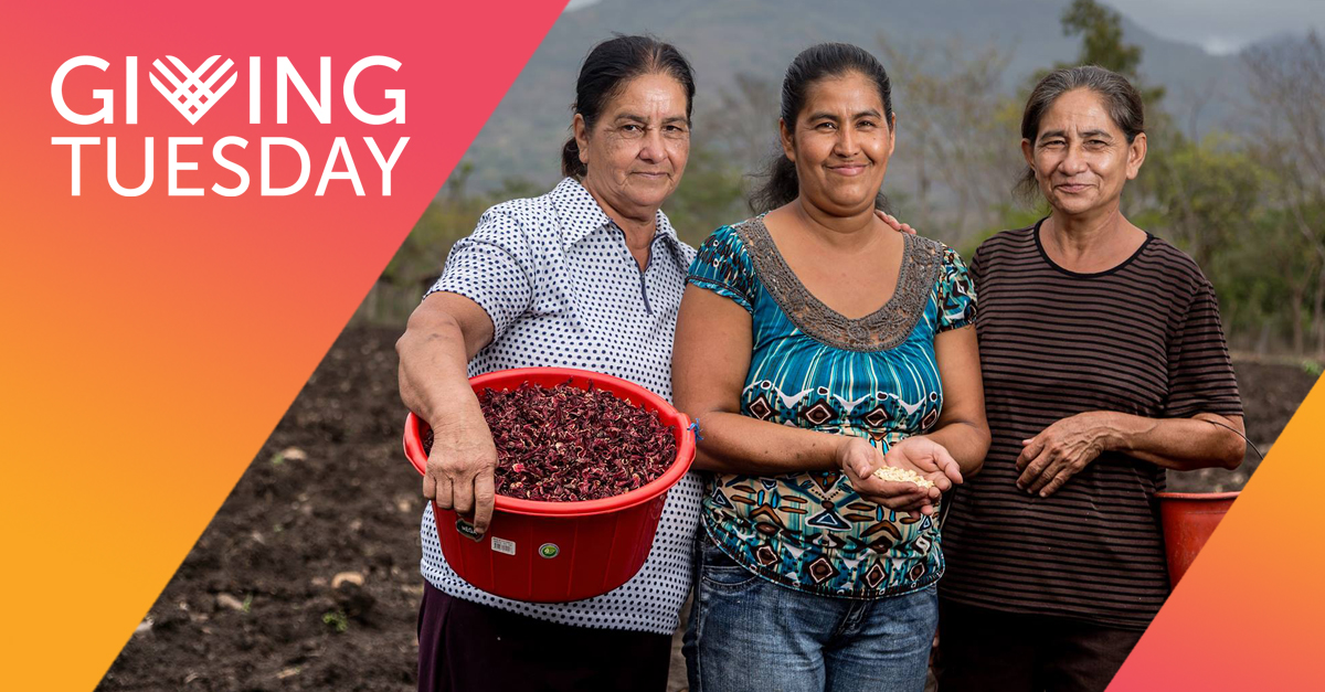 UUSC Giving Tuesday Match! - Campaign