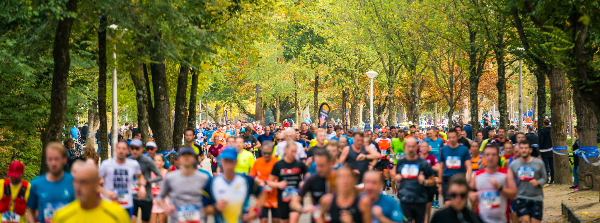 Chris Van Cleef's fundraising page for Housing Works