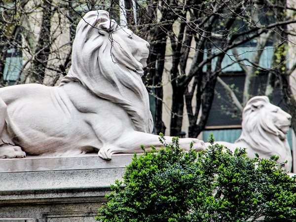 Restore the Roar - Campaign