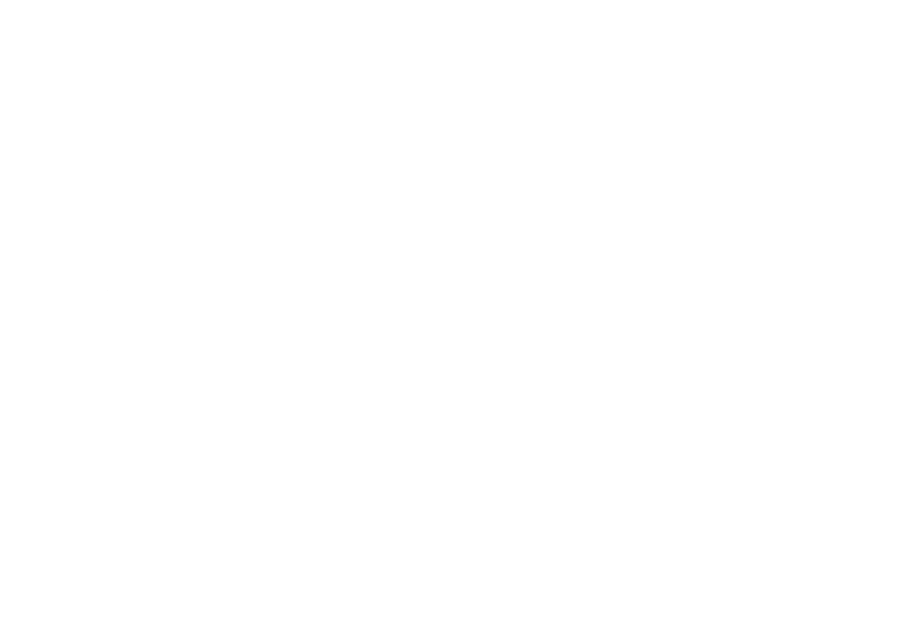 2022 United Airlines NYC Half - Campaign