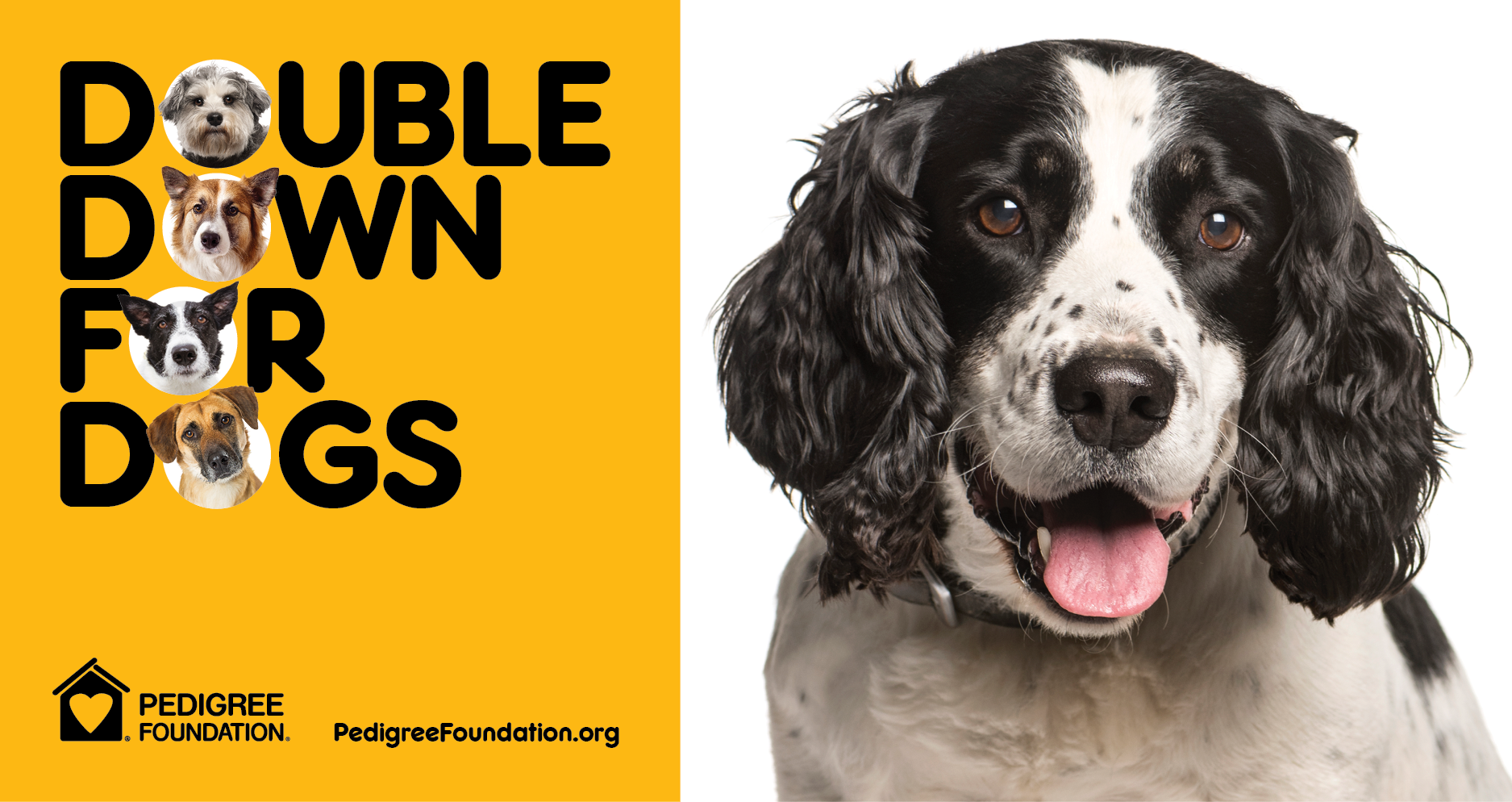 Double Down for Dogs - Campaign