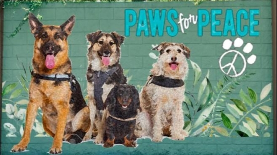 Pet Tile and Pet Mural - Campaign