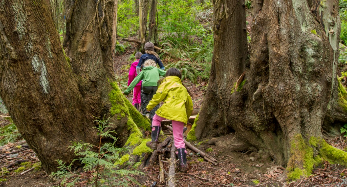Donate to Cheasty Trails and Bike Park