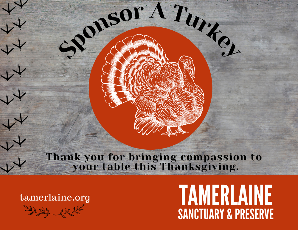 Thanksgiving Turkey Sponsorship 2022 - Campaign