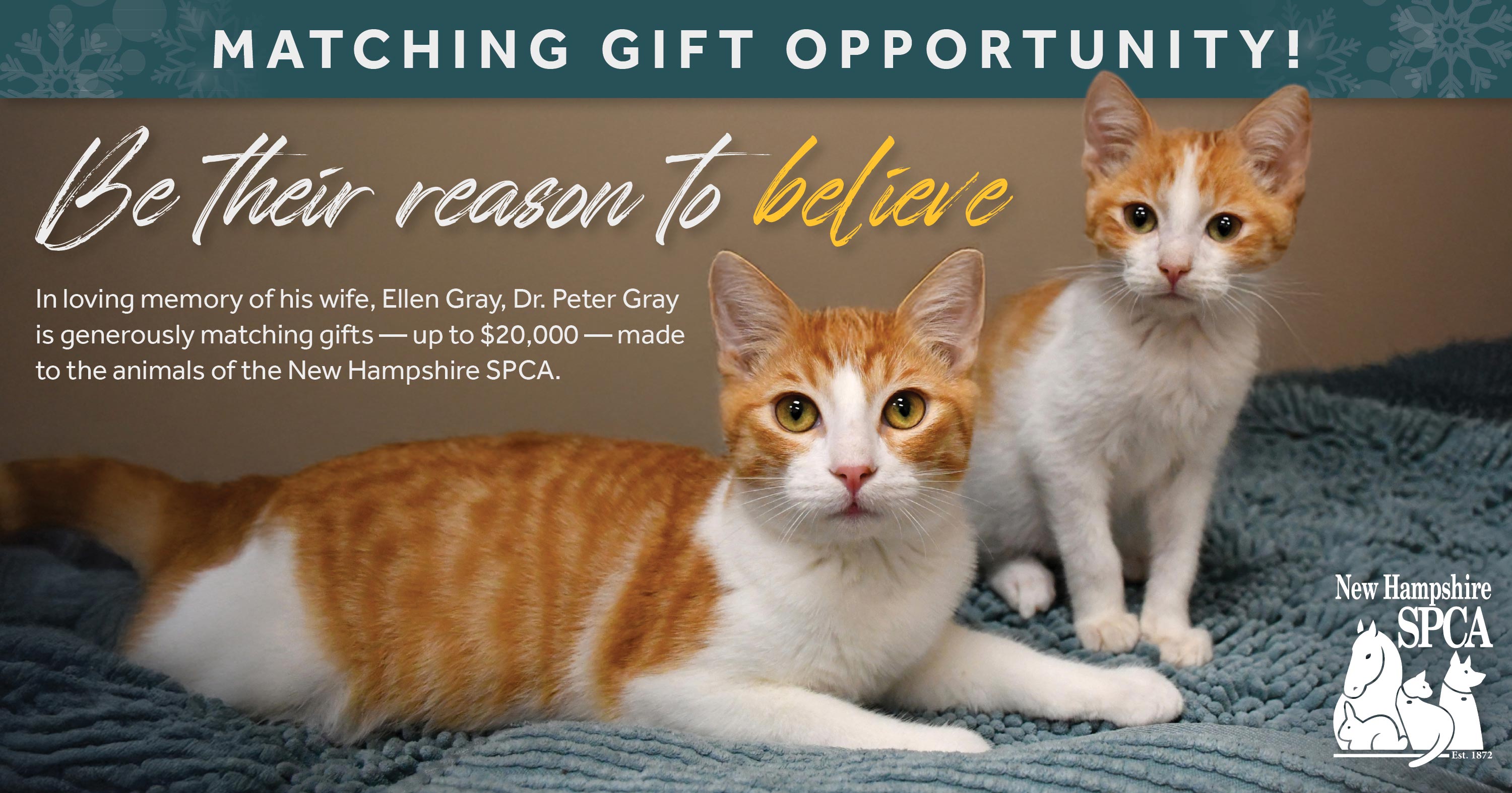 Ellen Gray Match December 2024 - Campaign