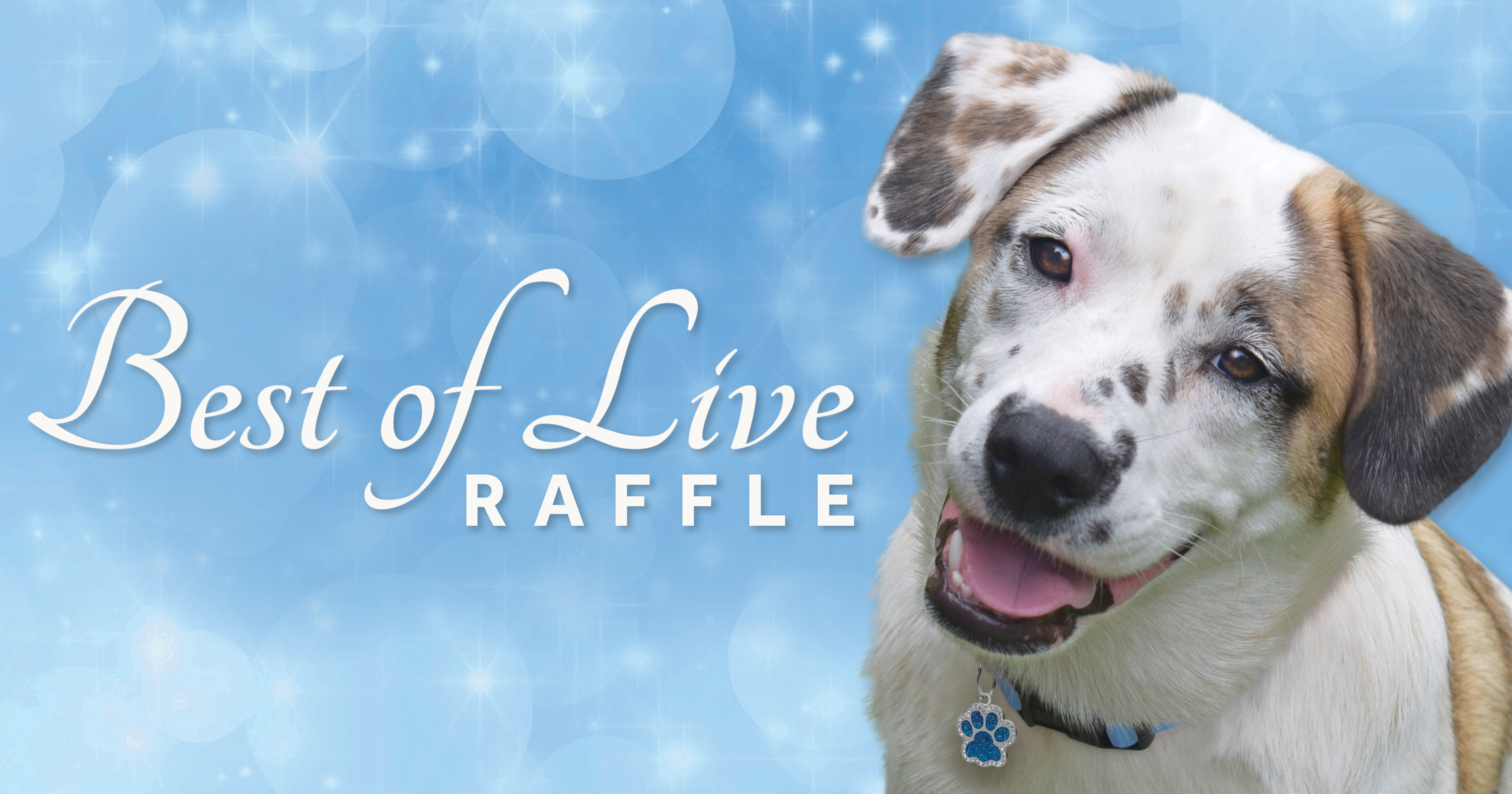 Best of Live Raffle 2022 - Campaign