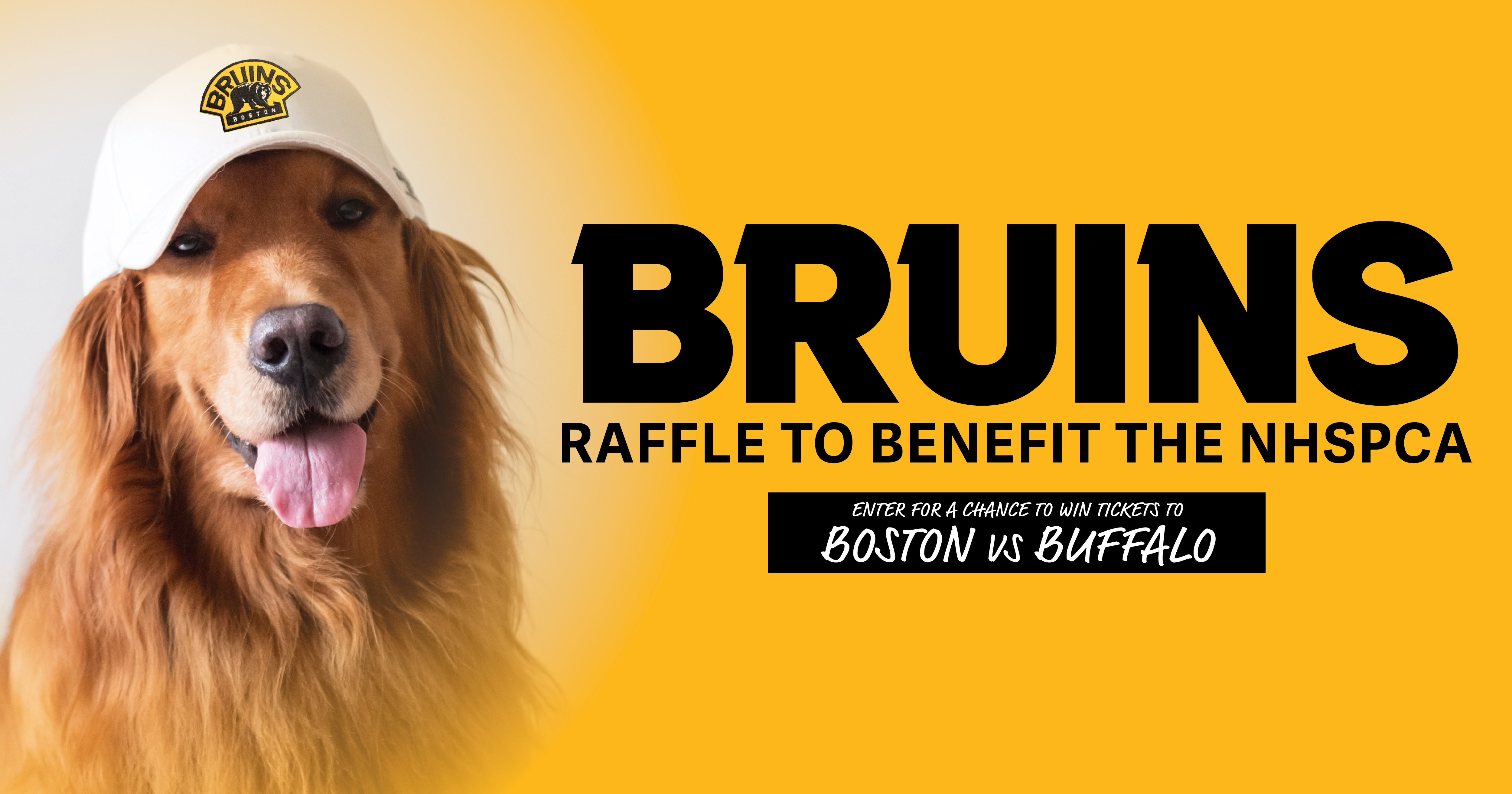 Bruins Tickets Raffle 2023 - Campaign
