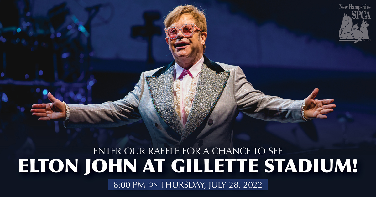 Donate to Elton John at Gillette Stadium Raffle