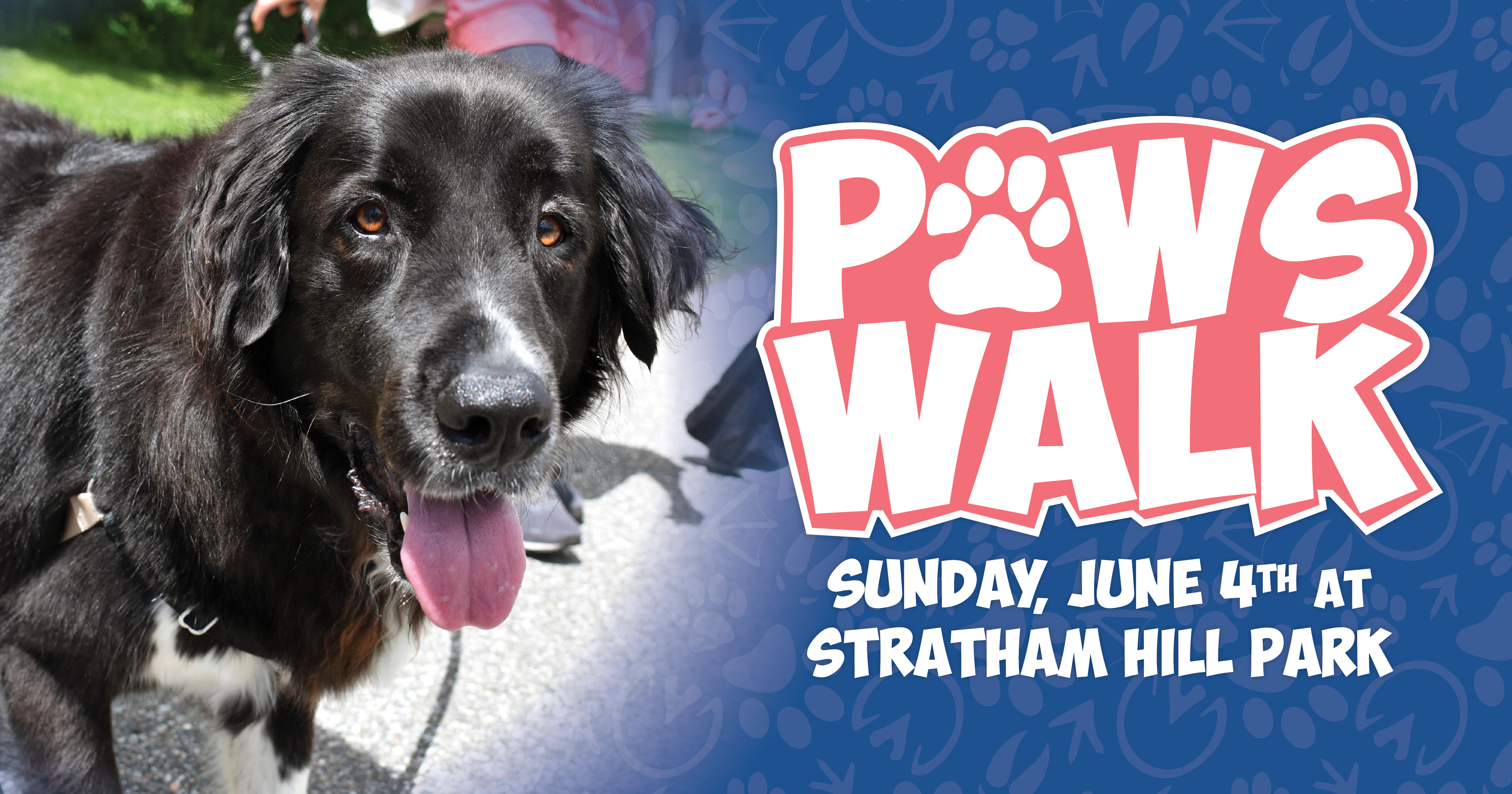 Paws Walk 2023 - Campaign