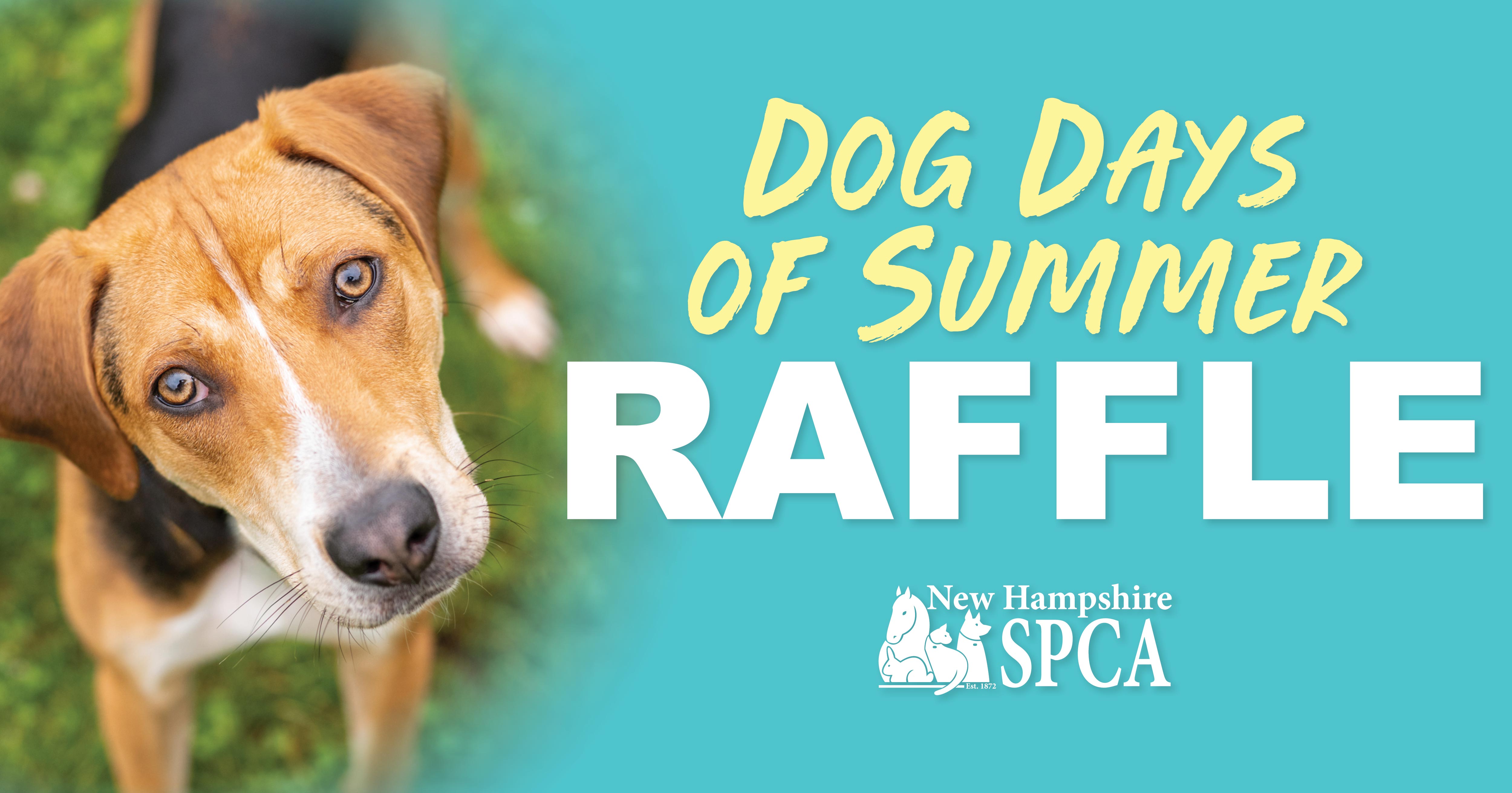 Summer Raffle 2025 - Campaign