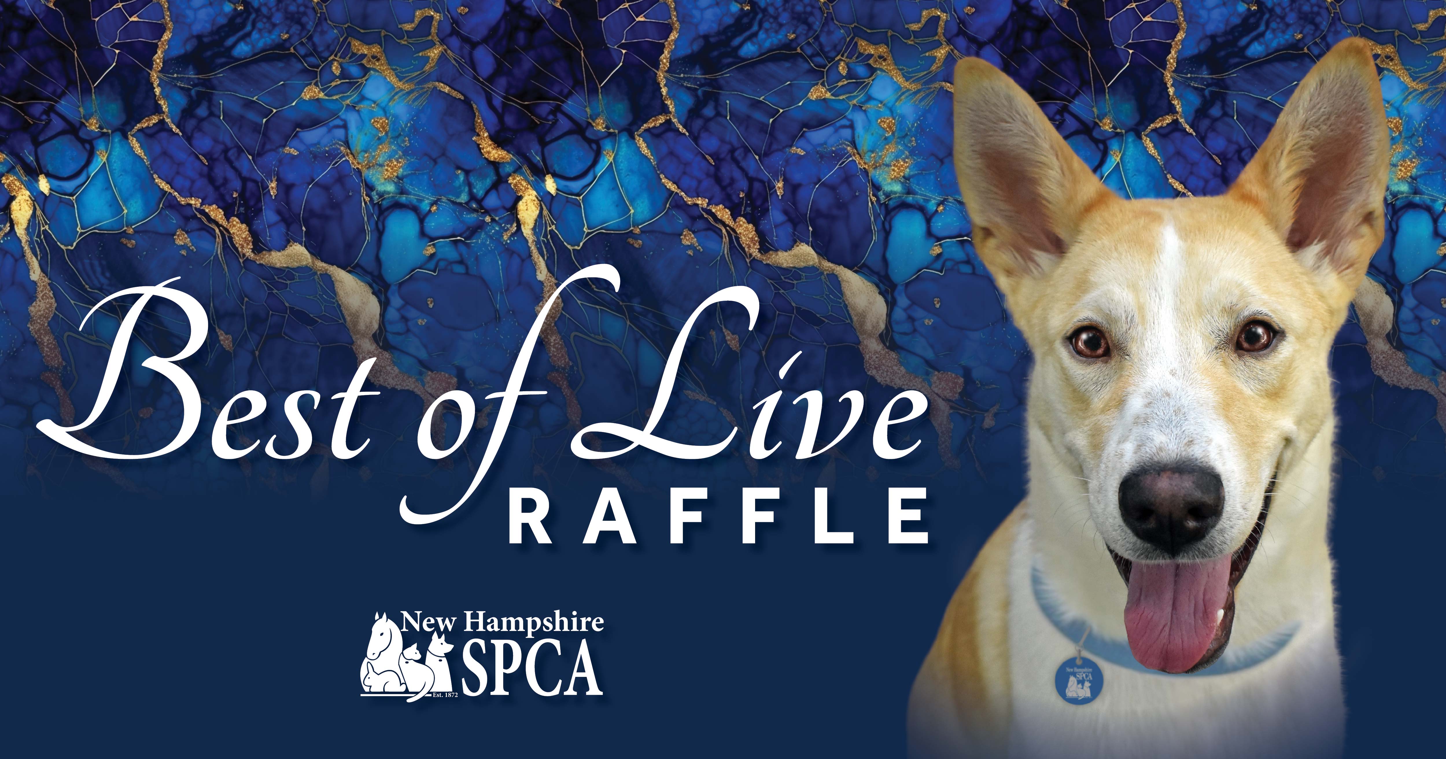 Best of Live Raffle 2023 - Campaign