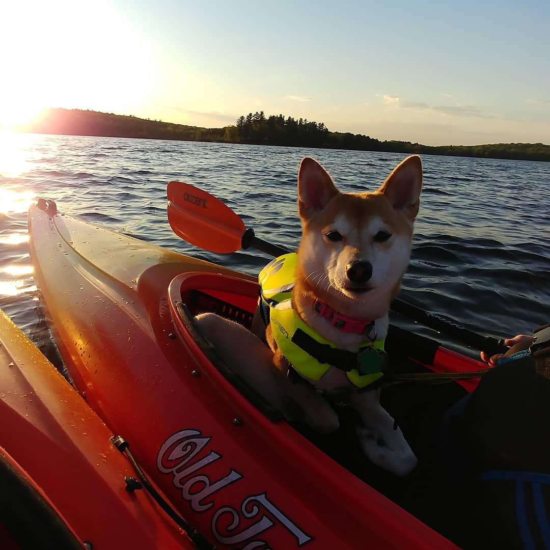 Pound, Peddle, Paddle Solo Challenge - Campaign
