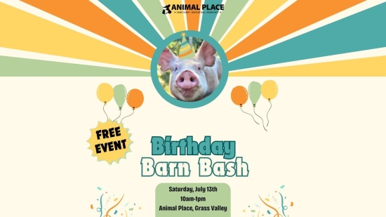 Barn Bash Volunteers - Campaign