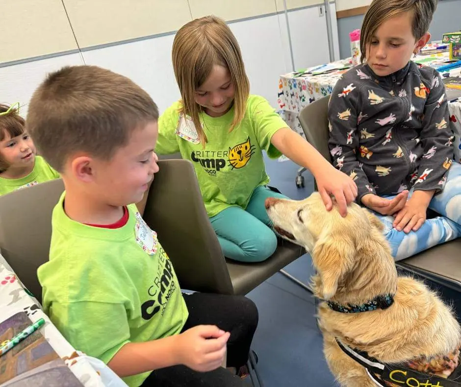 2026 Critter Camp Day Camps - Campaign