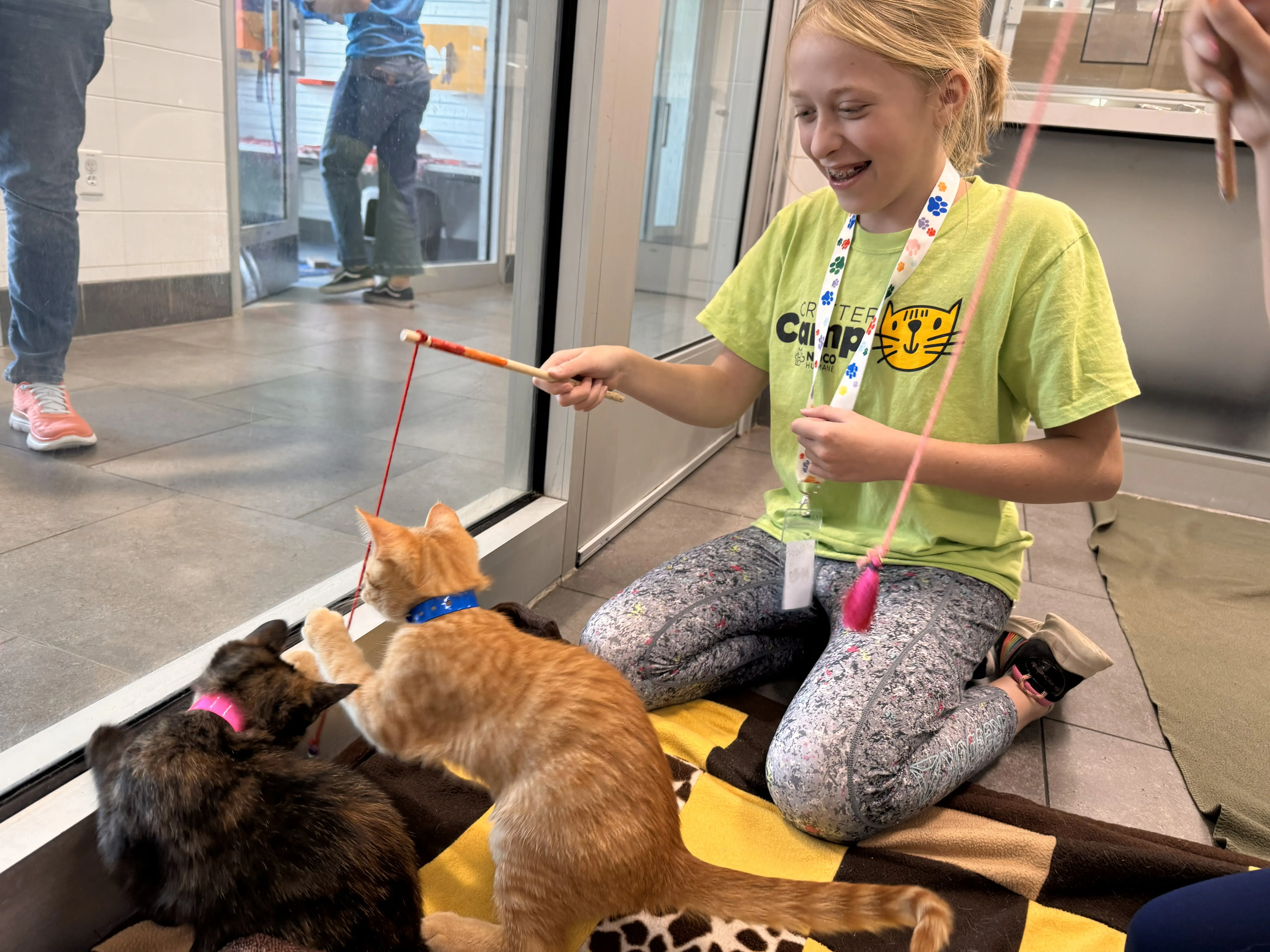 2026 Critter Camp Day Camps - Campaign