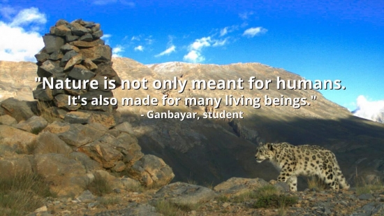 Protect Snow Leopards - Campaign