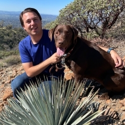 Team Bark Ranger's fundraising page for Children with Diabetes